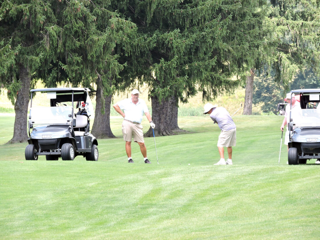 A green Christmas | News, Sports, Jobs - Weirton Daily Times